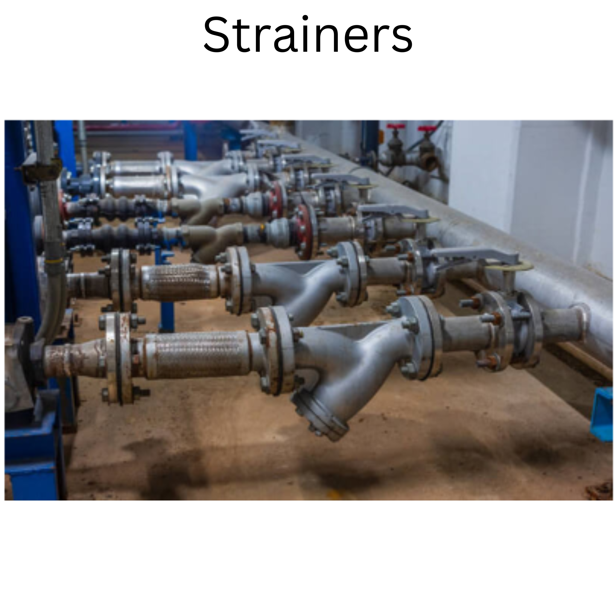 Strainers Design, Mfg. & Supply by T.E.A.M ENGINEER'S GROUP