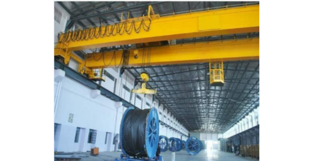 EOT Cranes - Design, Mfg. & Supply by T.E.A.M. ENGINEERS